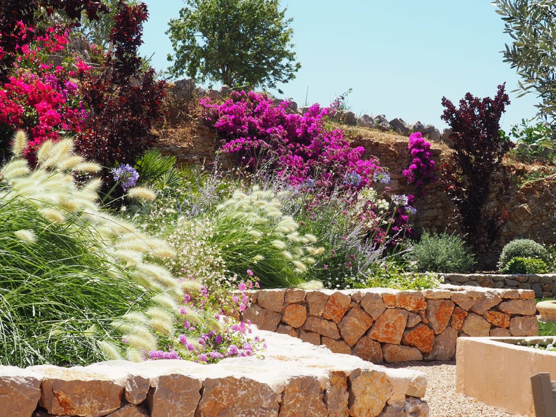 Esempio di Progettazione Giardino mediterraneo - I Progetti di Planeta SRL