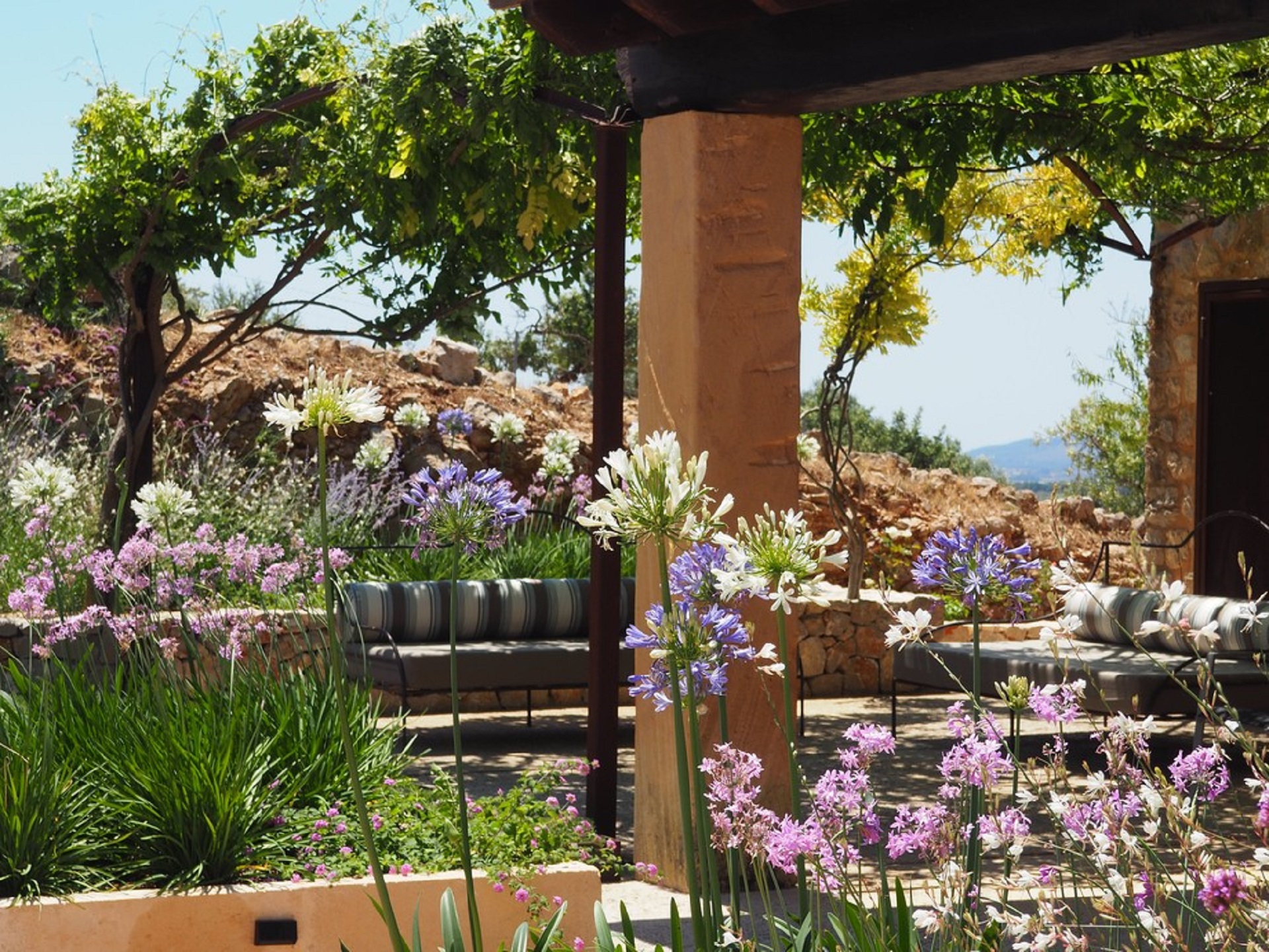 Esempio di Progettazione Giardino mediterraneo - I Progetti di Planeta SRL